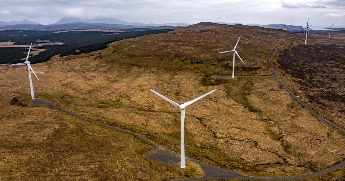 Wind farm ruling challenges market practice on environmental impacts