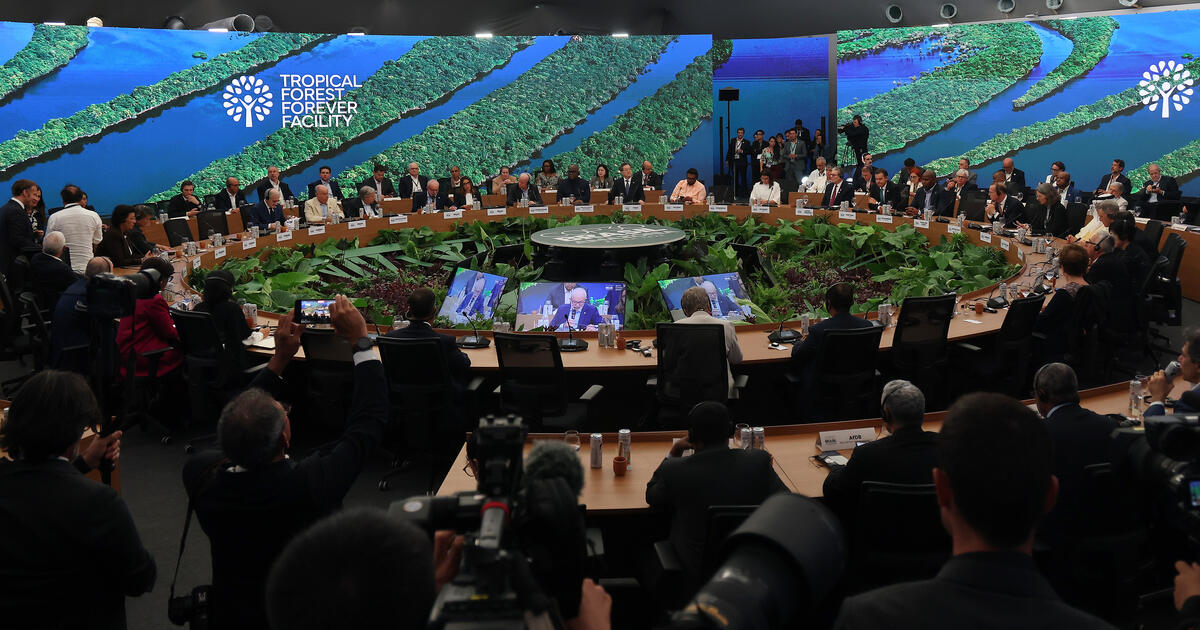 Though limited, COP30 outcomes mean ‘companies should stick to climate ...