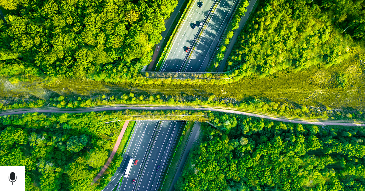 PODCAST: New type of fund could boost sustainable development, and ...